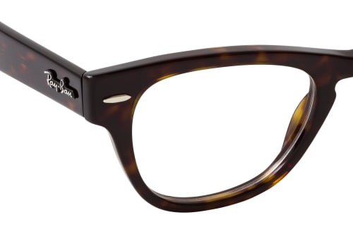 Ray-Ban Laramie RX 2201V 2012 Brille kaufen