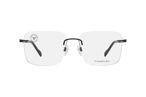 TITANFLEX 823017 L 10 Brille kaufen