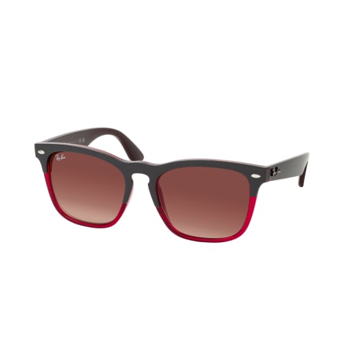 Ray-Ban RB 4487 663113 Sonnenbrille kaufen