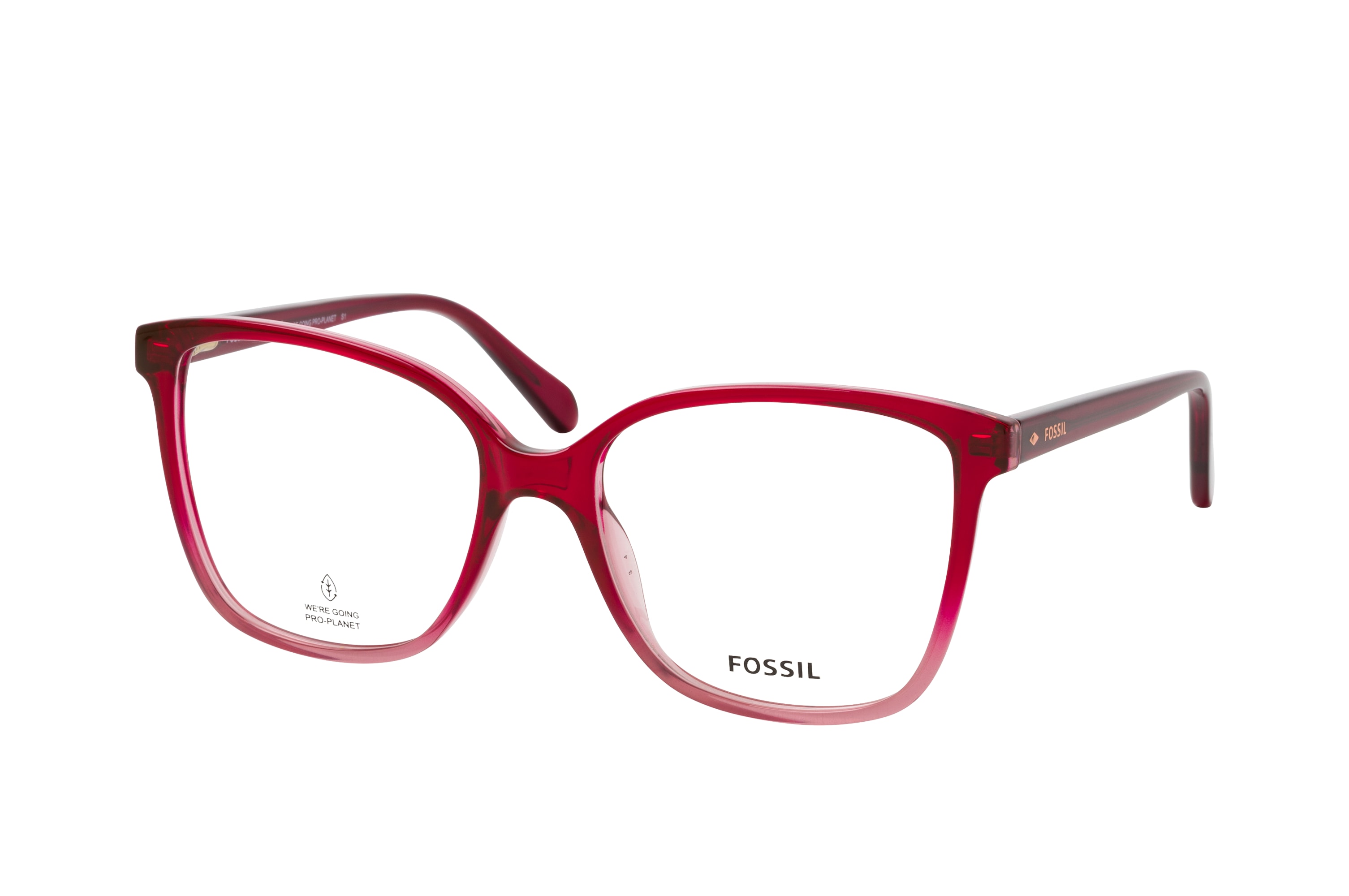 Buy Fossil FOS 7165 SK4